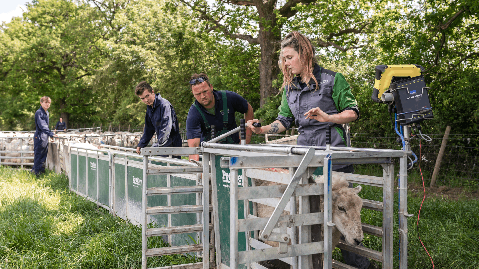 T Level in Agriculture, Land Management and Livestock Production | Brinsbury College
